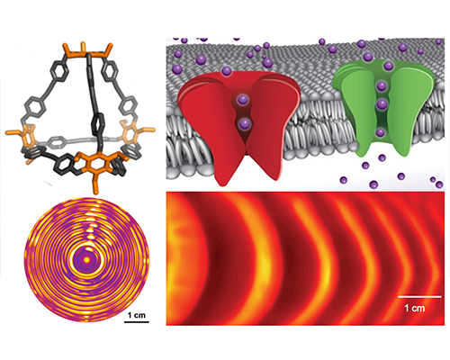 Building an Illinois Center for Next-Generation Adaptive Materials ...