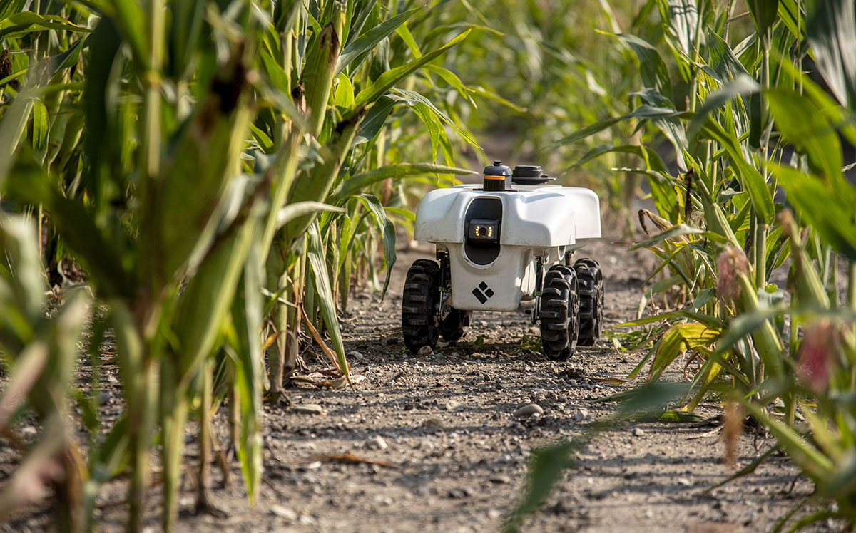 AI and the Future of Agriculture | The Grainger College of Engineering ...